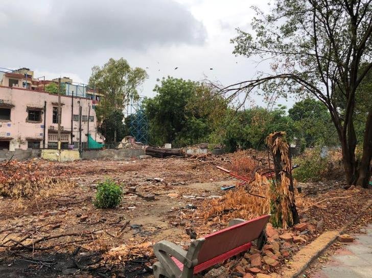 Delhi’s peaceful protests for trees need your support