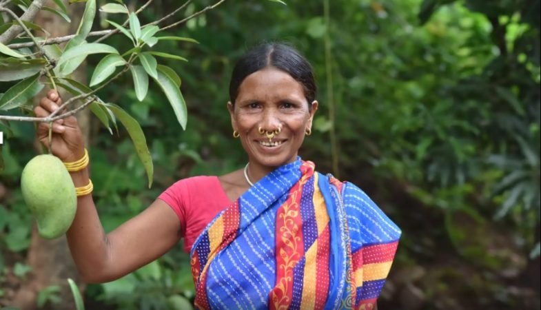 Odisha's Women Mango Cultivators Reap Rewards of a Sustainable Approach