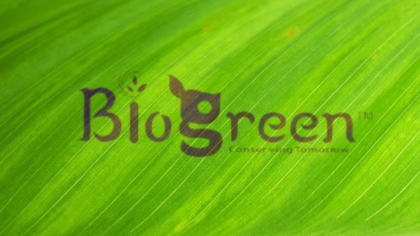 BioGreen Biotech, A plastic-like bag with all its properties but none ...