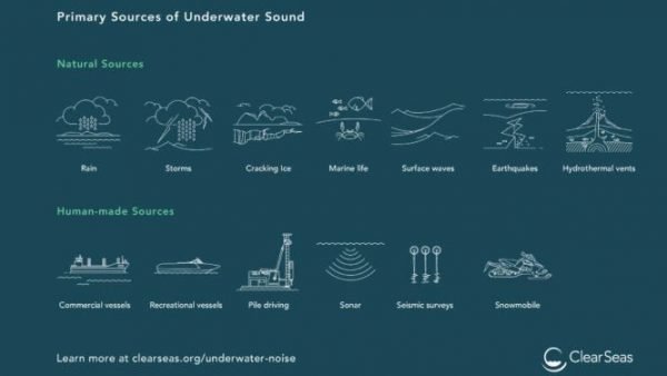 Noise Pollution: Biggest Threat to Humans and Animals Alike