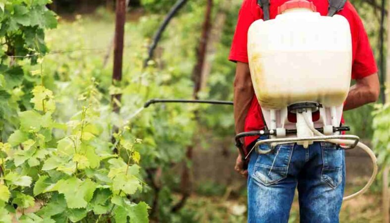 FAO report: 710 tonnes hazardous pesticides enter oceans annually