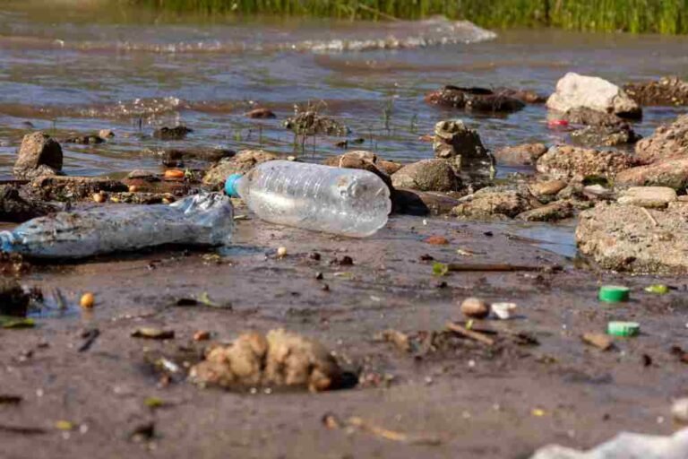 Half of world population to be affected by surface water pollution by 2100
