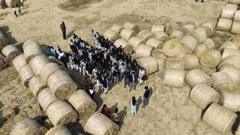 PAU Paddy Straw Biogas Technology biofuel biomass bioenergy biowaste ...