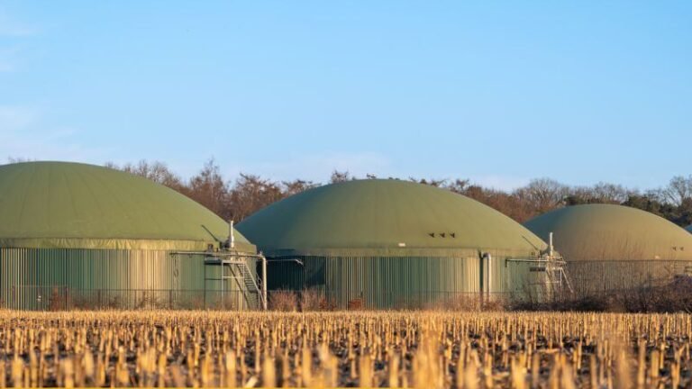 Asterion to invest €1.5 billion into biomethane across Europe
